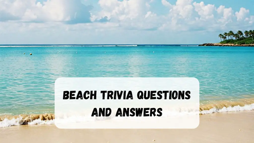 100+ Beach Trivia Questions and Answers for Beach Lovers of All Ages