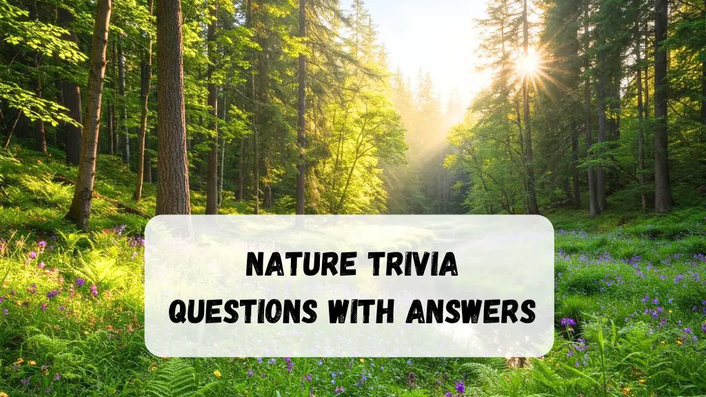 100+ Nature Trivia Questions with Answers That Will Amaze Your Friends ...